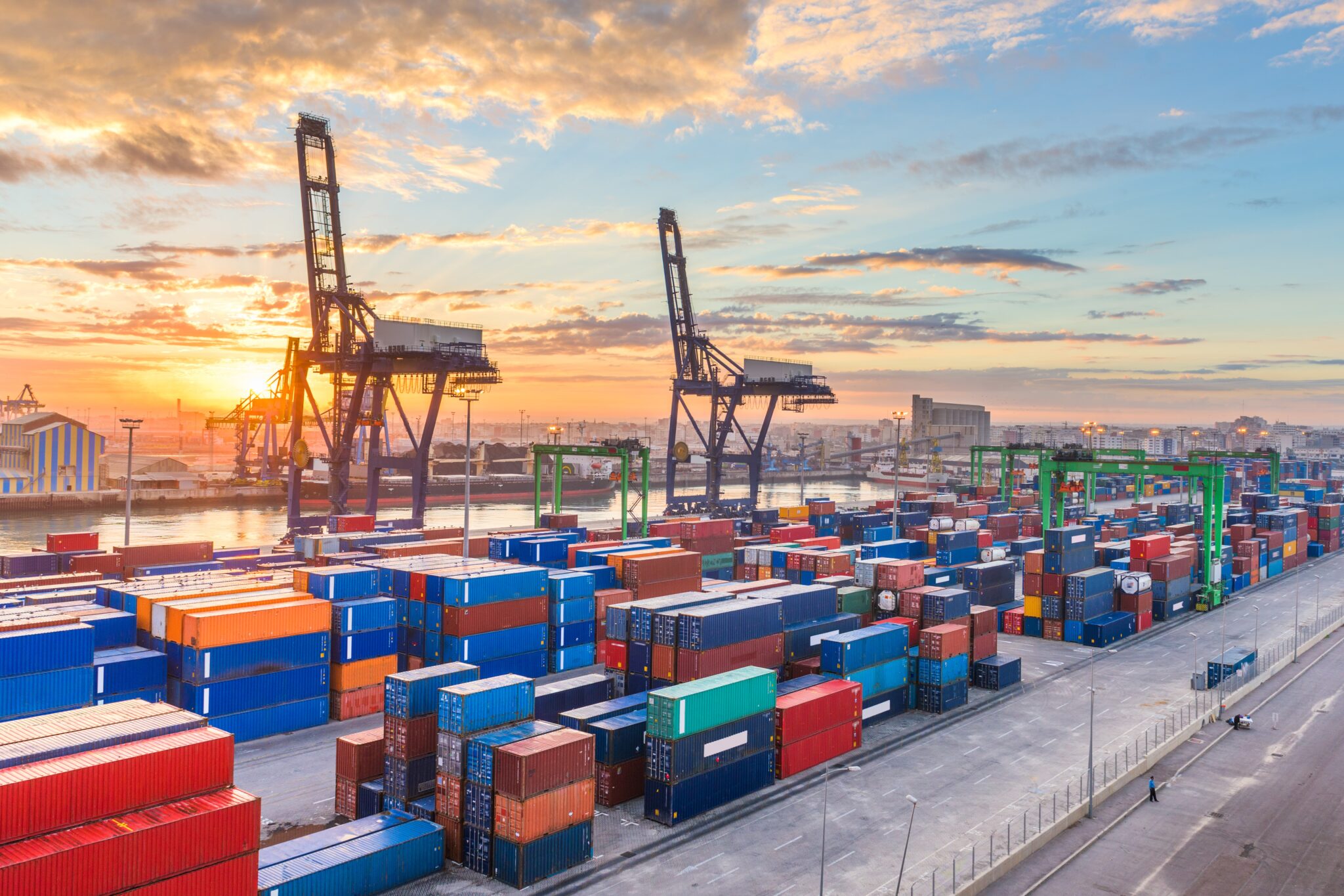 Agriculture Products Export From India | Best Agro Products Exporters